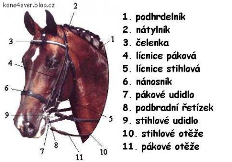 horse - Fotoalbum - Stavba sedla a uzdečky - Stavba sedla a uzdečky ...